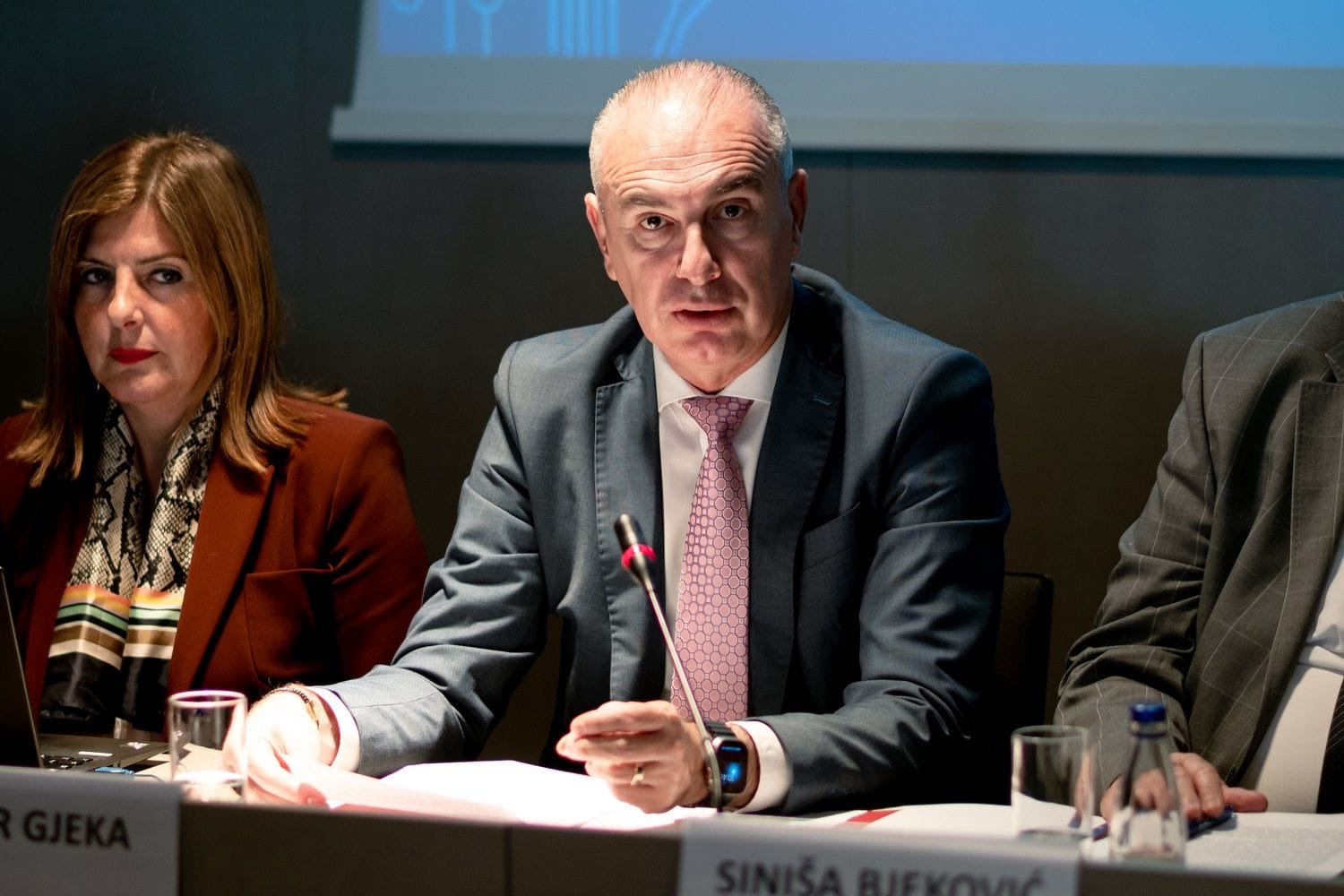 Gjeka:Crna Gora vidi Kosovo u Savjetu Evrope