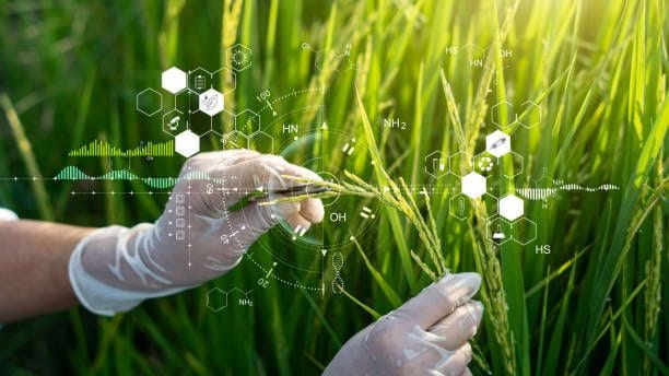 Programi kontrolnih ispitivanja i obrasci za uzorkovanje GMO