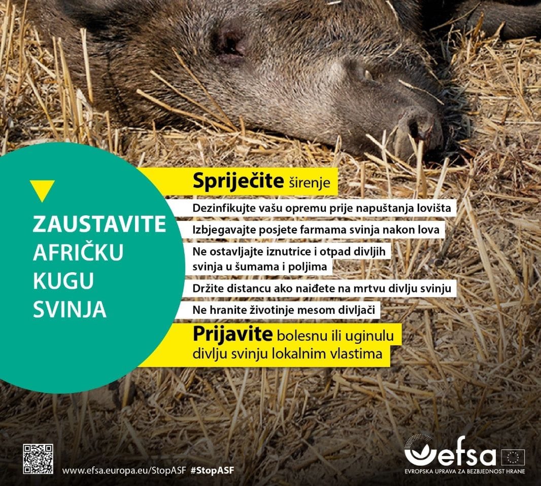 Vodič za lovce: Spriječite širenje afričke kuge svinja #StopASF