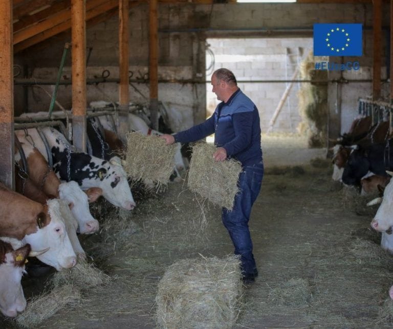 Nedic: IPARD helped me create a modern farm