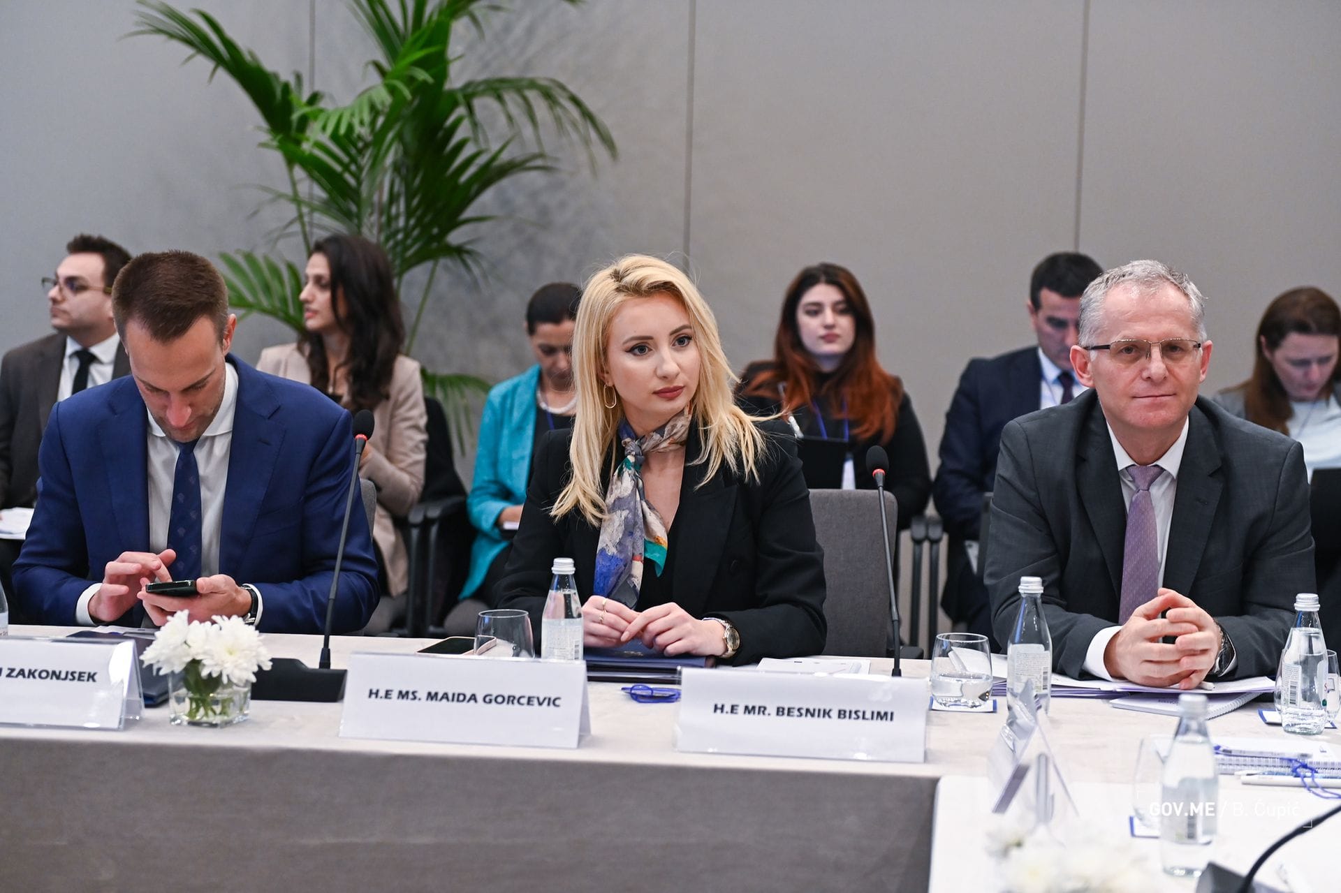 Gorčević: Plan rasta mehanizam za pokretanje reformi i poboljšanje ...