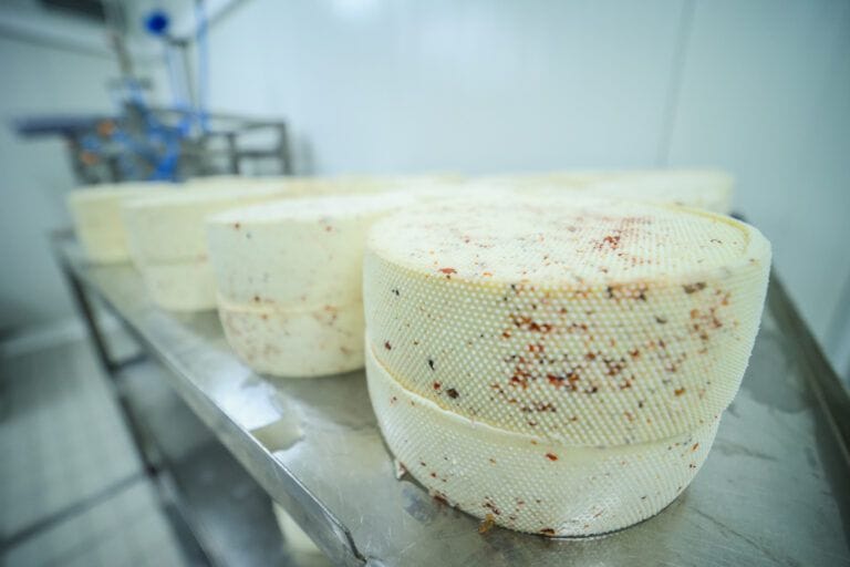 Počinje informativna kampanja o Mjeri 3 IPARD III programa