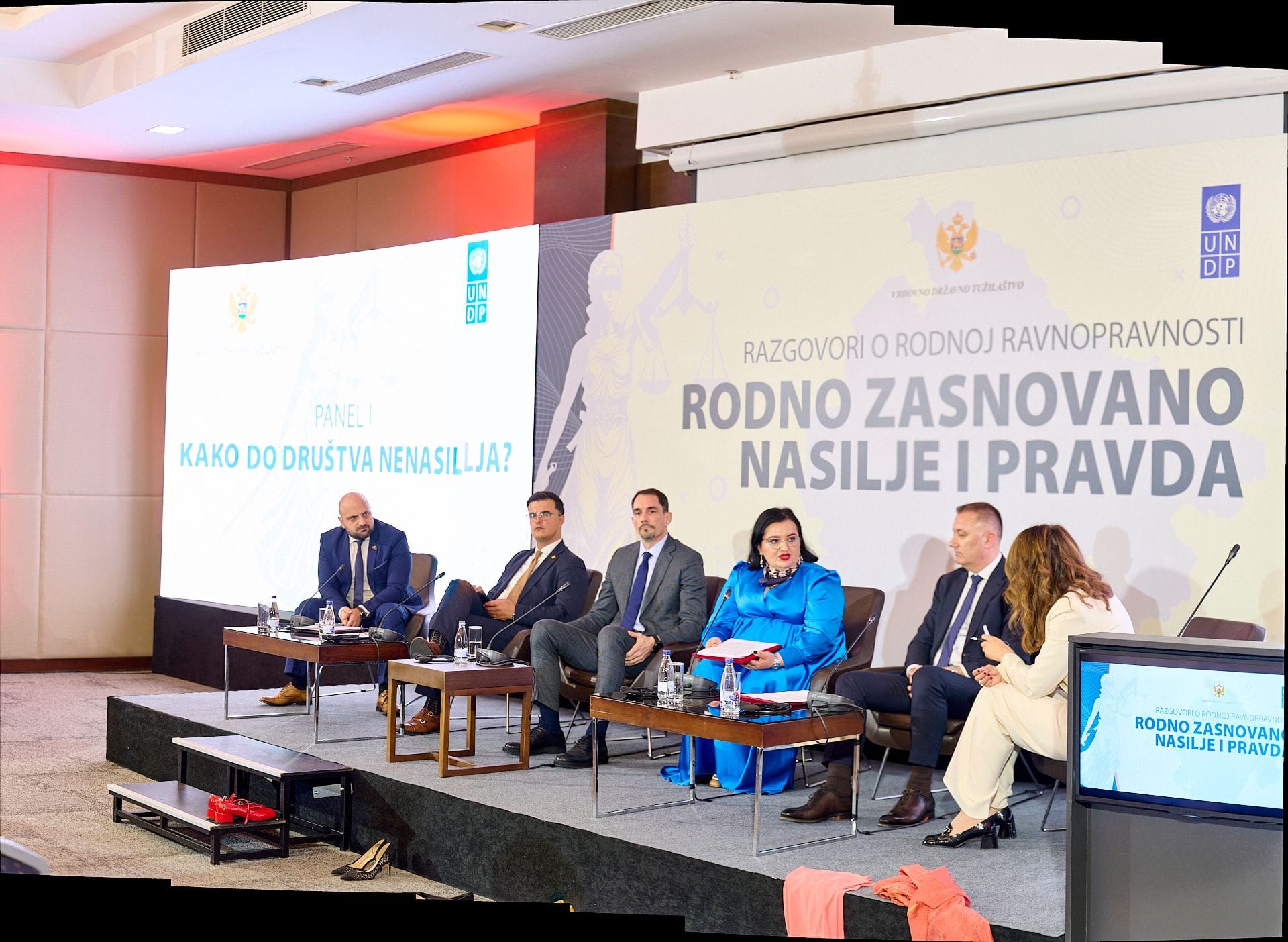 Ministar Gutić govorio na panelu o rodno zasnovanom nasilju
