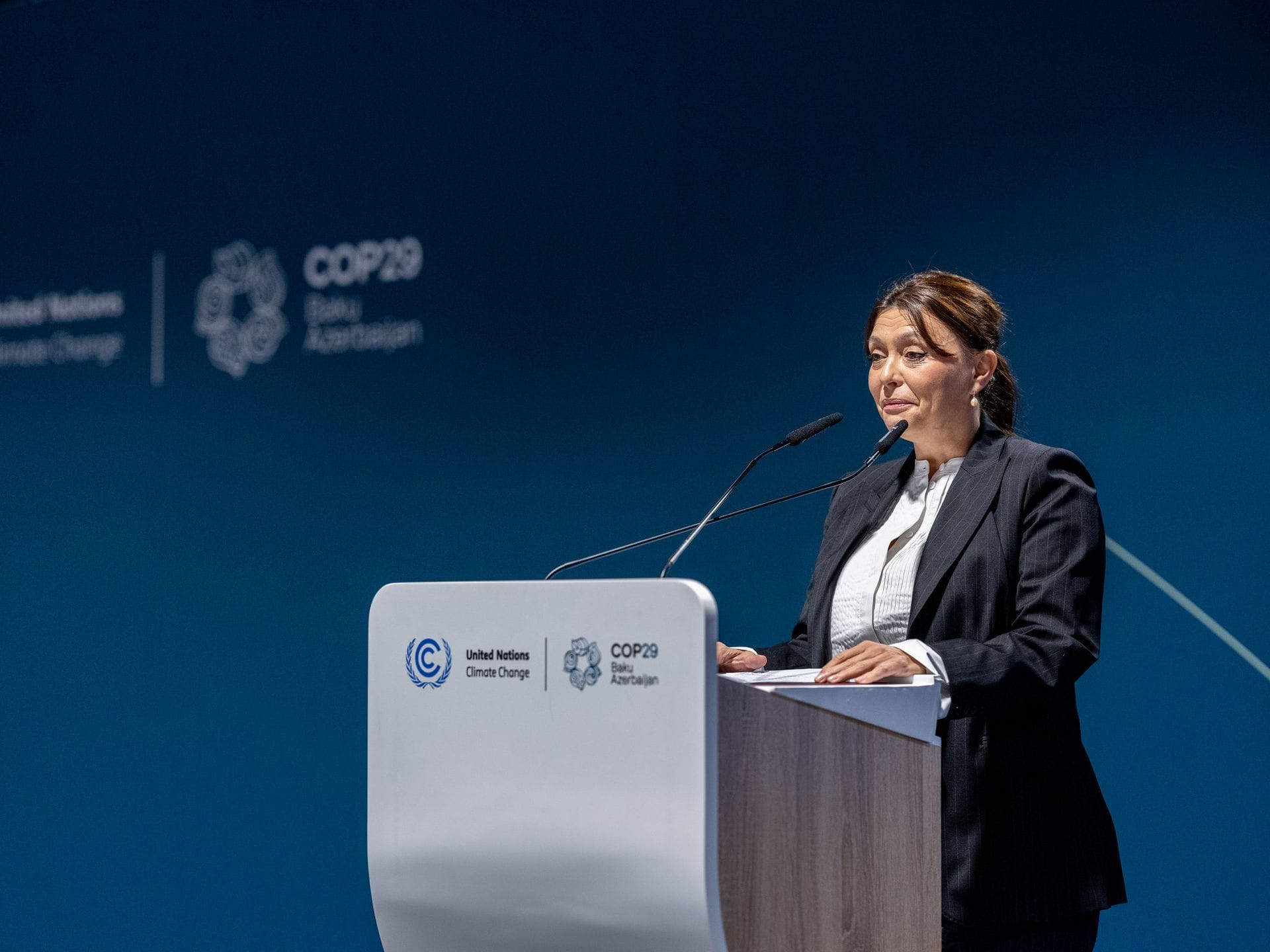 Kordić na ministarskom sastanku u okviru Samita COM29 u Bakuu